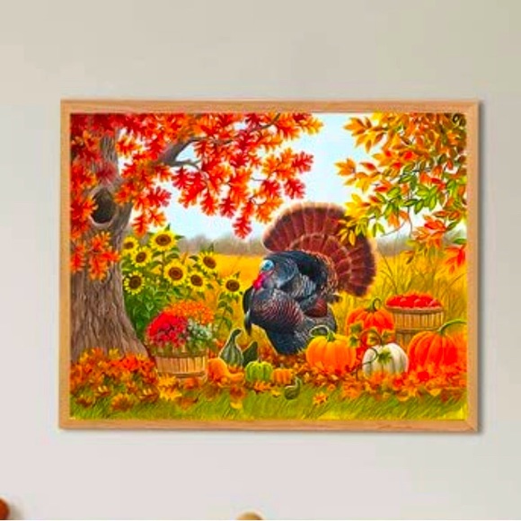 Other | Diy Turkey Diamond Painting | Poshmark
